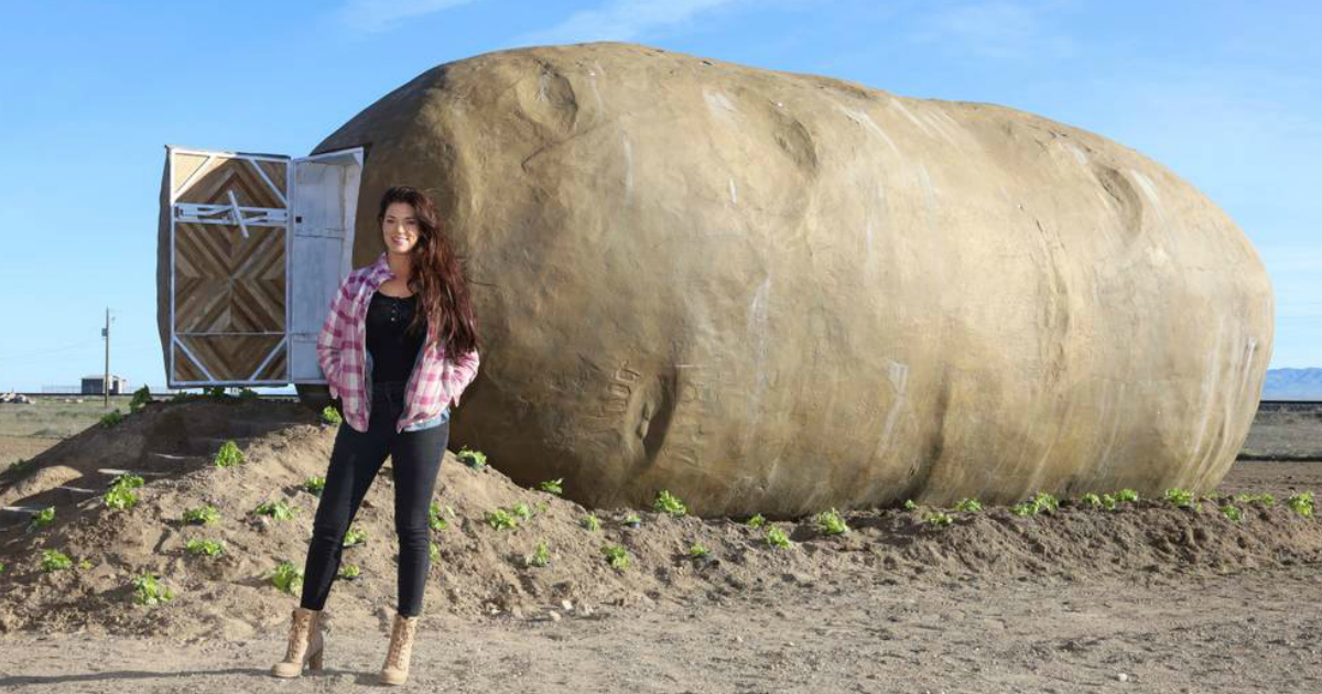 Idaho Airbnb Potato Hotel Room Fully Loaded for Lodgers