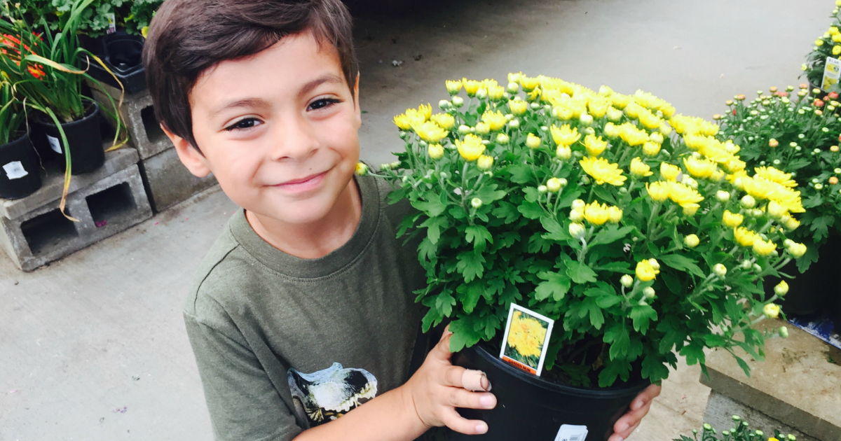 Shop Lowe's Spring Black Friday Sale and Save Over 50% on Home & Garden ...